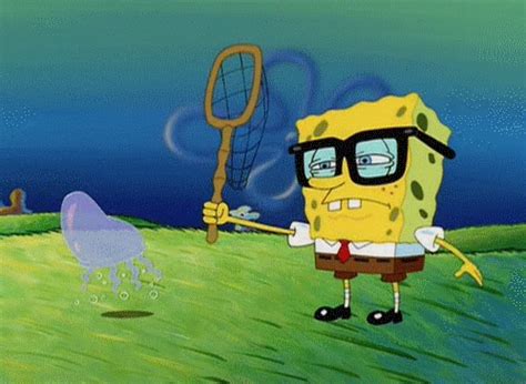  De Bob Esponja Pescando Medusas