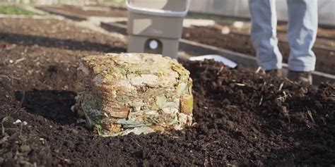 Three Main Levels Of Composting Organisms