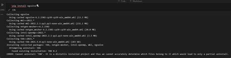 Installation Issue Via Pip Installation And Troubleshooting Netgenngsolve