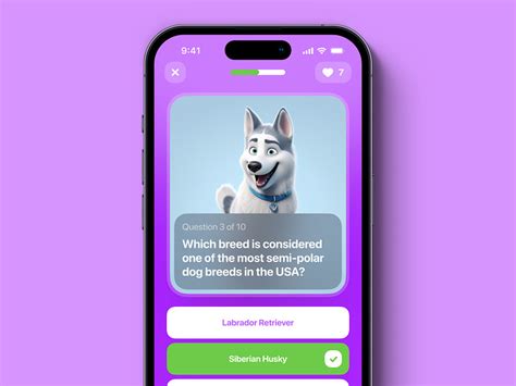 Education App Quiz Game App By Ivan Saverchenko On Dribbble