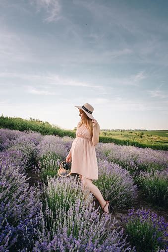 베이지 색 드레스와 밀짚 모자에 임신 한 소녀 금발 라벤더 필드 아이의 기대에 사진 촬영의 아이디어 일몰에 걸어 미래의 엄마 꽃 바구니입니다 가루로 빻은에 대한 스톡 사진