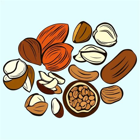 Premium Vector Illustration Mix Of Different Types Nuts