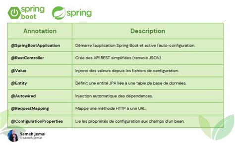 Springboot Java Développement Api Programmation Sameh Jemai