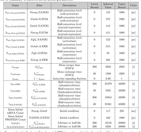 Table 4 From Ai Powered Simulation Based Inference Of A Genuinely Spatial Stochastic Model Of