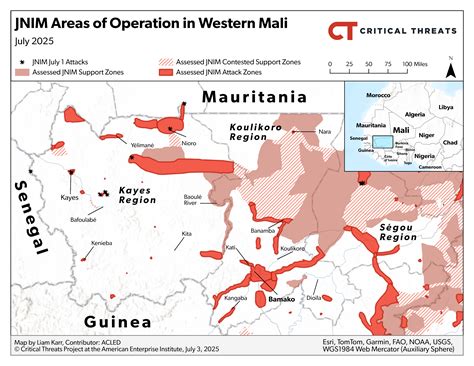 Jnim Attacks Across Mali Biya Faces Challengers In Cameroon Africa