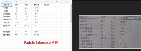 表格识别模型 Paddle Inference 和 Onnx 模型效果差异较大 · Issue 900 · Paddlepaddle