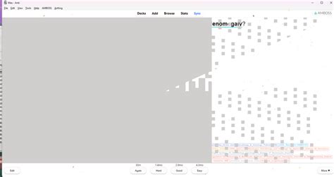 Weird Visual Bugs Ranki