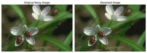 Image Denoising Using Dictionary Learning In Scikit Learn Geeksforgeeks