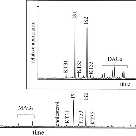 Total Ion Chromatogram Tic And Partial Ht Fid Chromatogram Of Tle