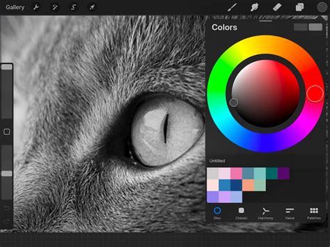 Procreate Color Wheel Stuck In Grayscale Heres What To Do