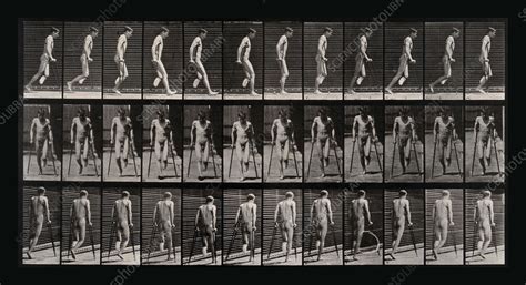 Amputee Walking Muybridge Motion Study 1880s Stock Image C056