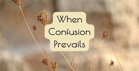 When Confusion Prevails Thoughts By Katherine Kehler