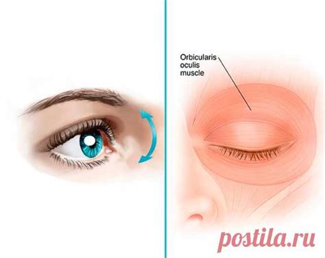 Как избавиться от «мешков под глазами «гусиных лапок и птоза верхн Упражнения для улучшения