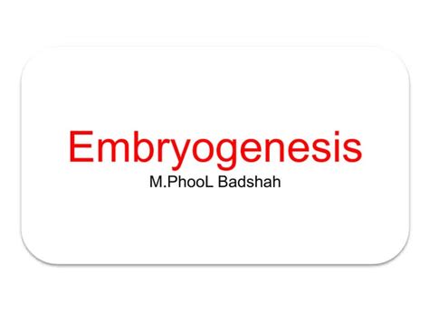 7 Embryogenesispptx