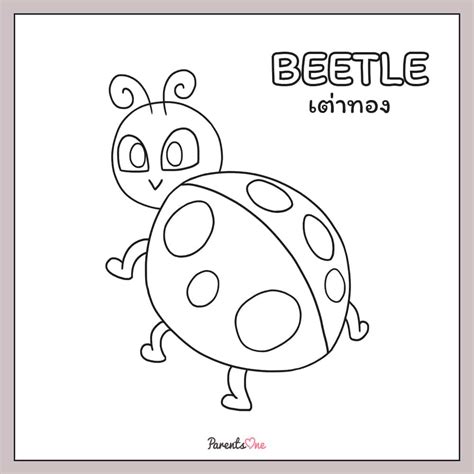 มาระบายสีกันเถอะ