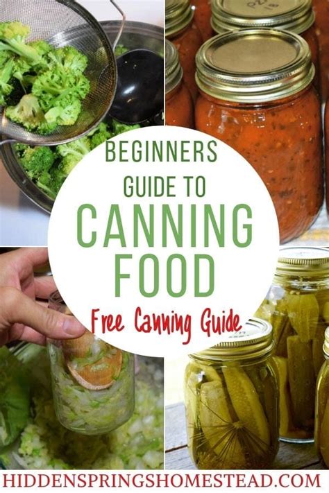 Free Printable Canning Food Guide For Beginners · Hidden Springs Homestead