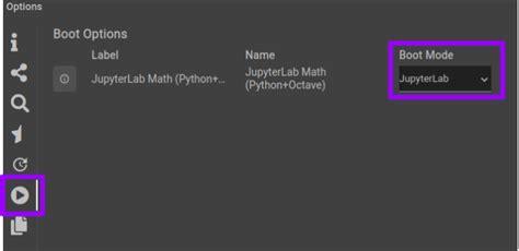 Using A Jupyter Notebook With Sparc Data