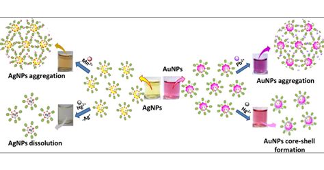 Green Synthesized Silver And Gold Nanoparticles For Colorimetric Detection Of Hg2 Pb2 And