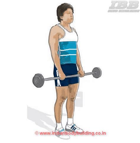 Biceps Reverse Curls IBB Indian Bodybuilding