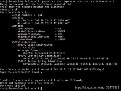 Openssl详解与应用教程 Csdn博客 Openssl详解与应用教程 Csdn博客