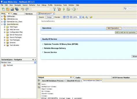Java Client Webservice