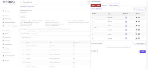 Ngp File Format Asset Files Open Items And New Only And Debtor Files Column Definitions Tab