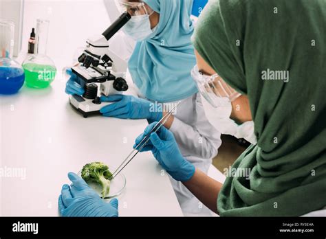 Female Muslim Scientists Looking Through Microscope And Taking Sample Of Broccoli During
