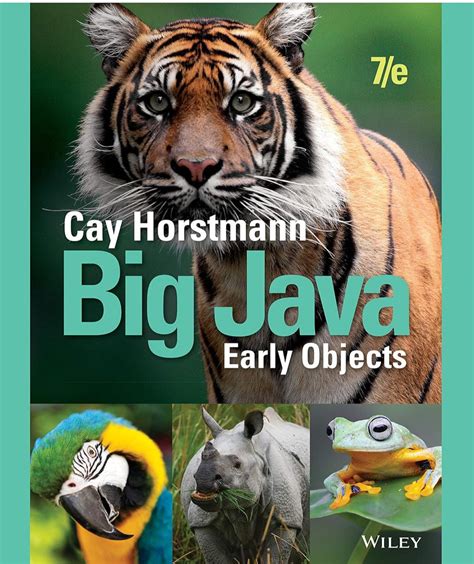 Big Java Early Objects 7th Edition By Cay S Horstmann Author Booksnbooks