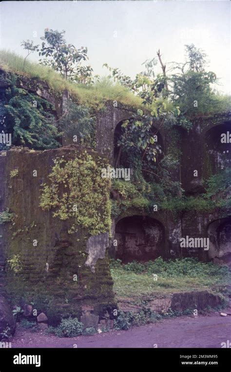 Algae Is An Informal Term For A Large And Diverse Group Of