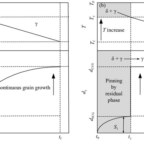 Schematic Of The Austenite Grain Growth A Continuous Grain Growth