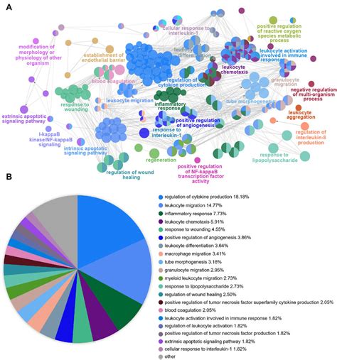 Functional Enrichment Analysis Of Degs Using Cluego A Cluego Was Download Scientific Diagram