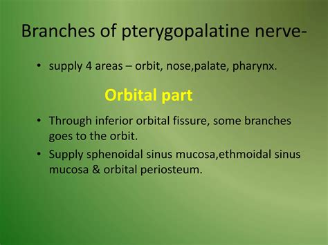 Trigeminal Nerve Ppt