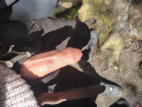 Tree Lover 19 Pics XHamster Tree Lover 19 Pics XHamster