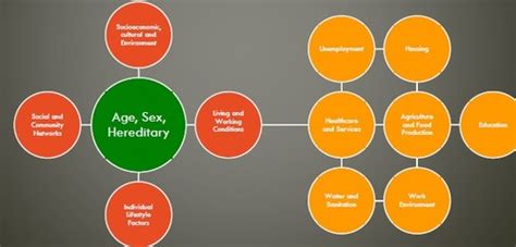Health Determinants Flashcards Quizlet