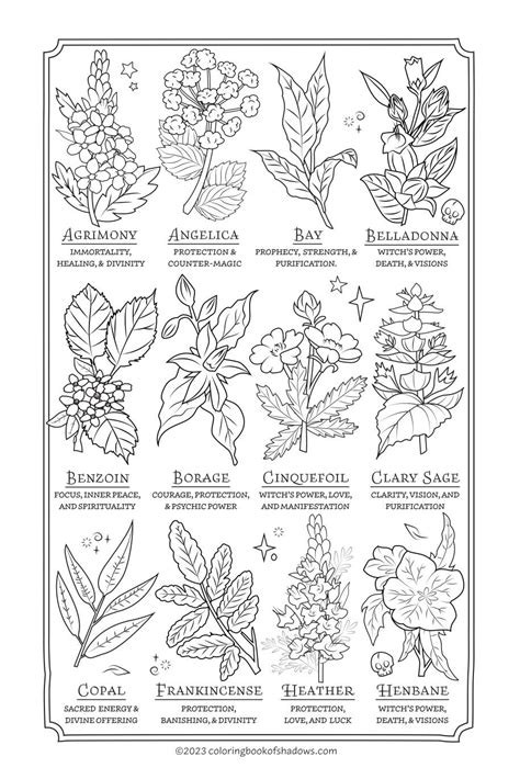 Botanical Coloring Pages For Adults