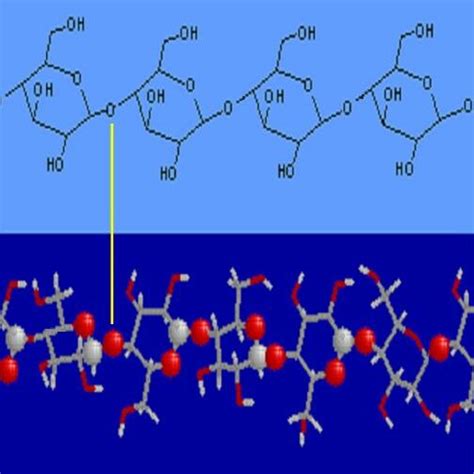 Molecular Structure Of Cellulose Download Scientific Diagram