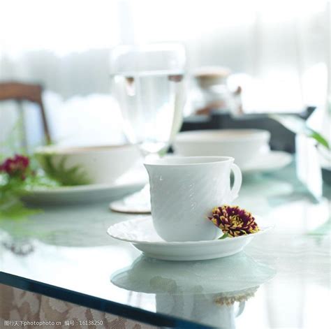 白色的陶瓷茶杯图片免费下载 白色的陶瓷茶杯素材 白色的陶瓷茶杯模板 图行天下素材网