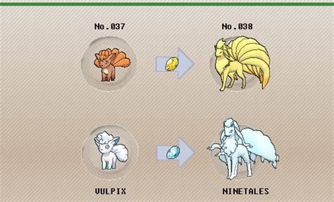 Pokemon Ninetales Evolution