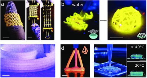 Examples Of 3d Printed Ultraflexible Pdms Structures Made After Curing