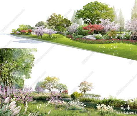 现代花草下载【id 1162836011】undefined