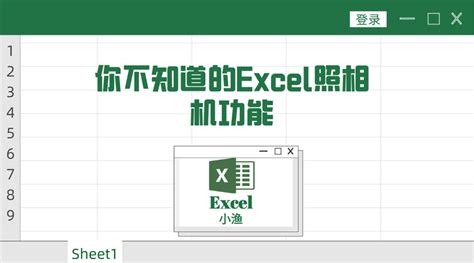 你不知道的excel照相机功能 知乎