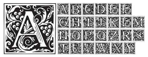 Beautiful Hand Drawn Royal Font Stock Illustrations 324 Beautiful