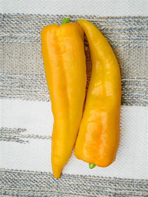 Перец сладкий Рамиро жёлтый (Ramiro Yellow)