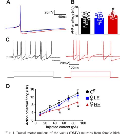 Figure 1 From Sex Differences In Gabaergic Neurotransmission To Rat Dmv Neurons Semantic Scholar