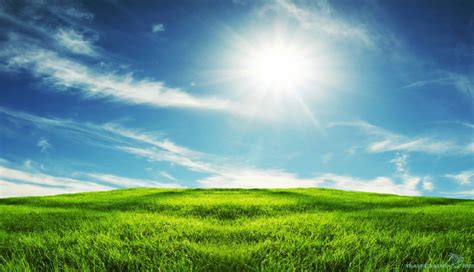 🔥 71 Grassland Backgrounds Wallpapersafari