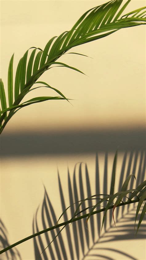 Фон для текста в Инстаграм Фон для сторис с листьями Sfondo Hippie Sfondi