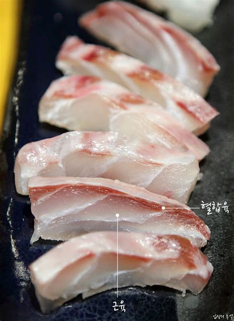 생선회 연어와 송어의 다른 놀라운 이유