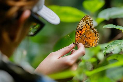 Implementing Dna Barcoding For Species Identificat Generative Ai Premium Ai Generated Image