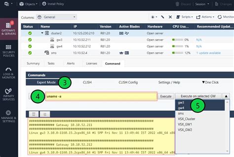 Execute Cli Commands On Selected Gateways Simultan Check Point
