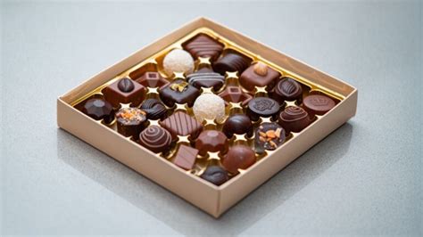 60 Best Metaphor Examples College Transitions